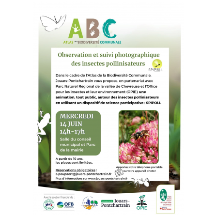 Observation et suivi photographique des insectes pollinisateurs | Parc ...