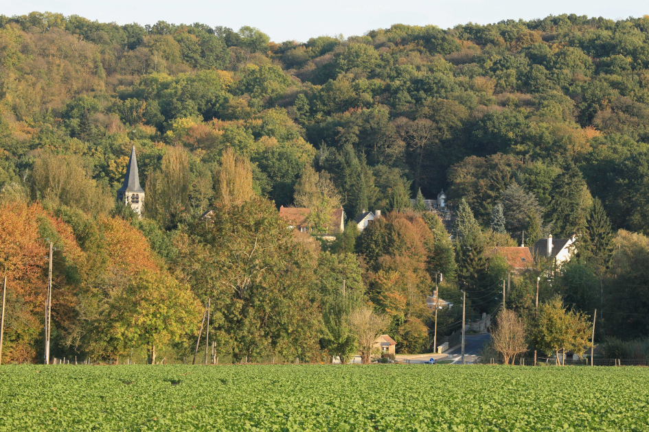 Senlisse | Parc Naturel de la Haute Vallée de Chevreuse