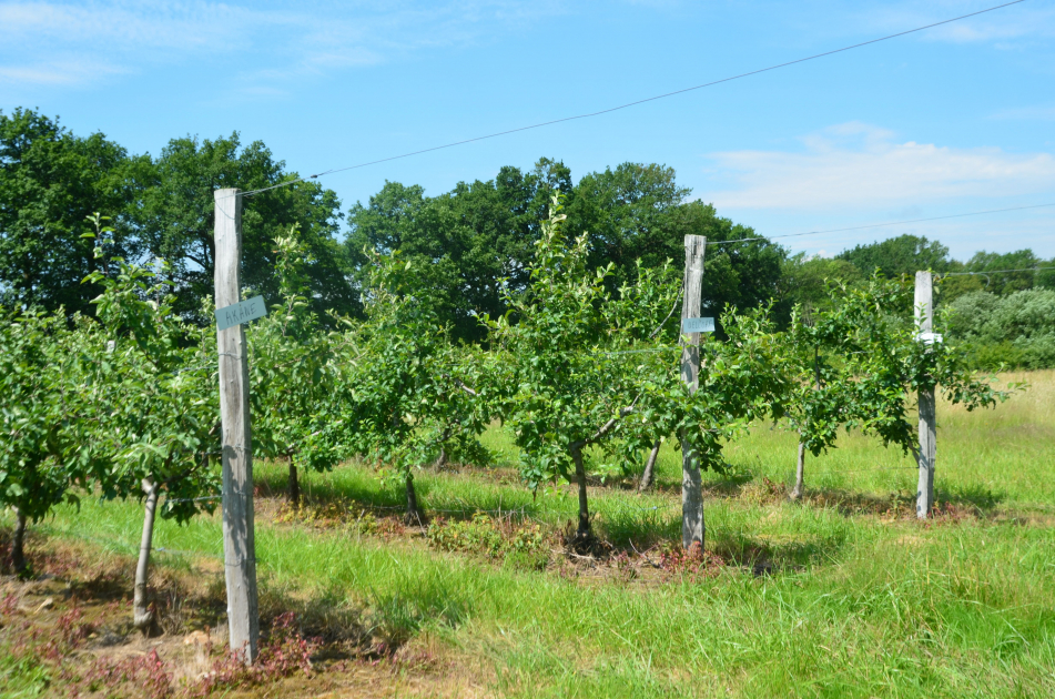 Ferme de Louareux | Parc Naturel de la Haute Vallée de Chevreuse