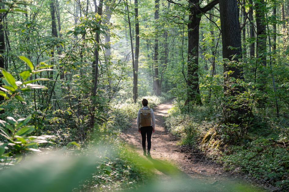 Se balader | Parc Naturel de la Haute Vallée de Chevreuse