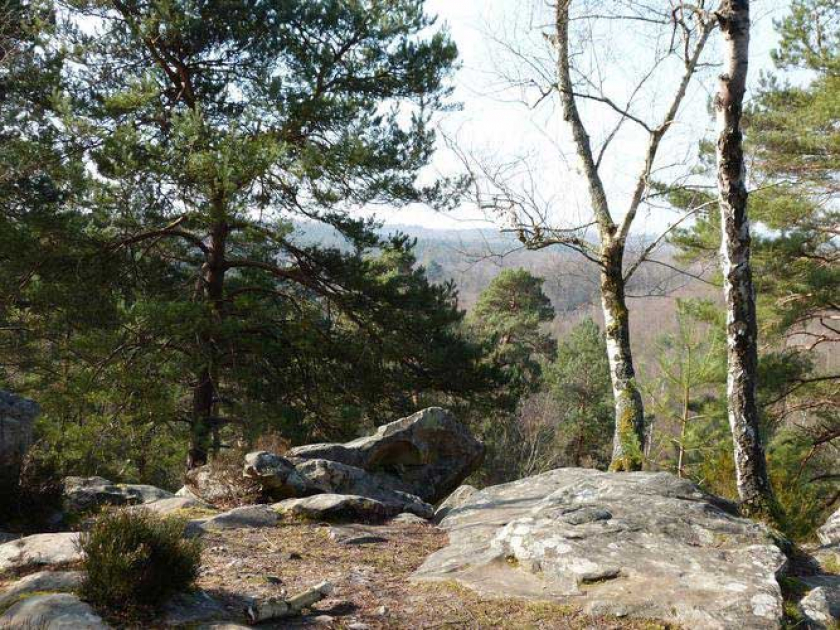 Les Rochers d'Angennes | Parc Naturel de la Haute Vallée de Chevreuse