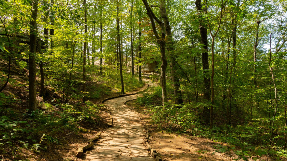 Les Grands Curieux à Gif - 2024 | Parc Naturel de la Haute Vallée de ...