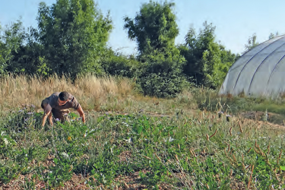 Exemple d'agroécologie à Bonnelles | Parc Naturel de la Haute Vallée de ...