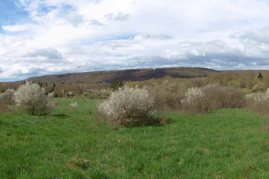 Une prairie reprend vie | Parc Naturel de la Haute Vallée de Chevreuse